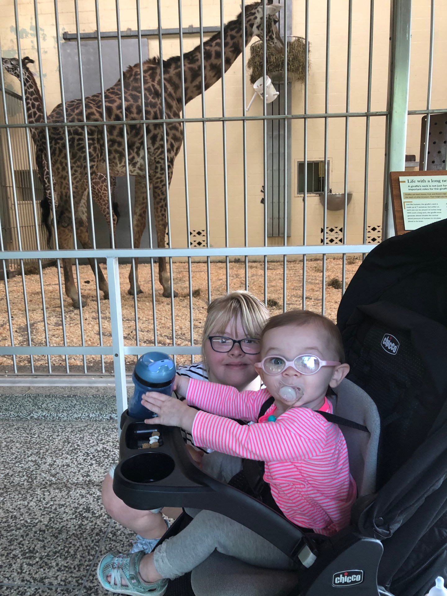 Zoo Day